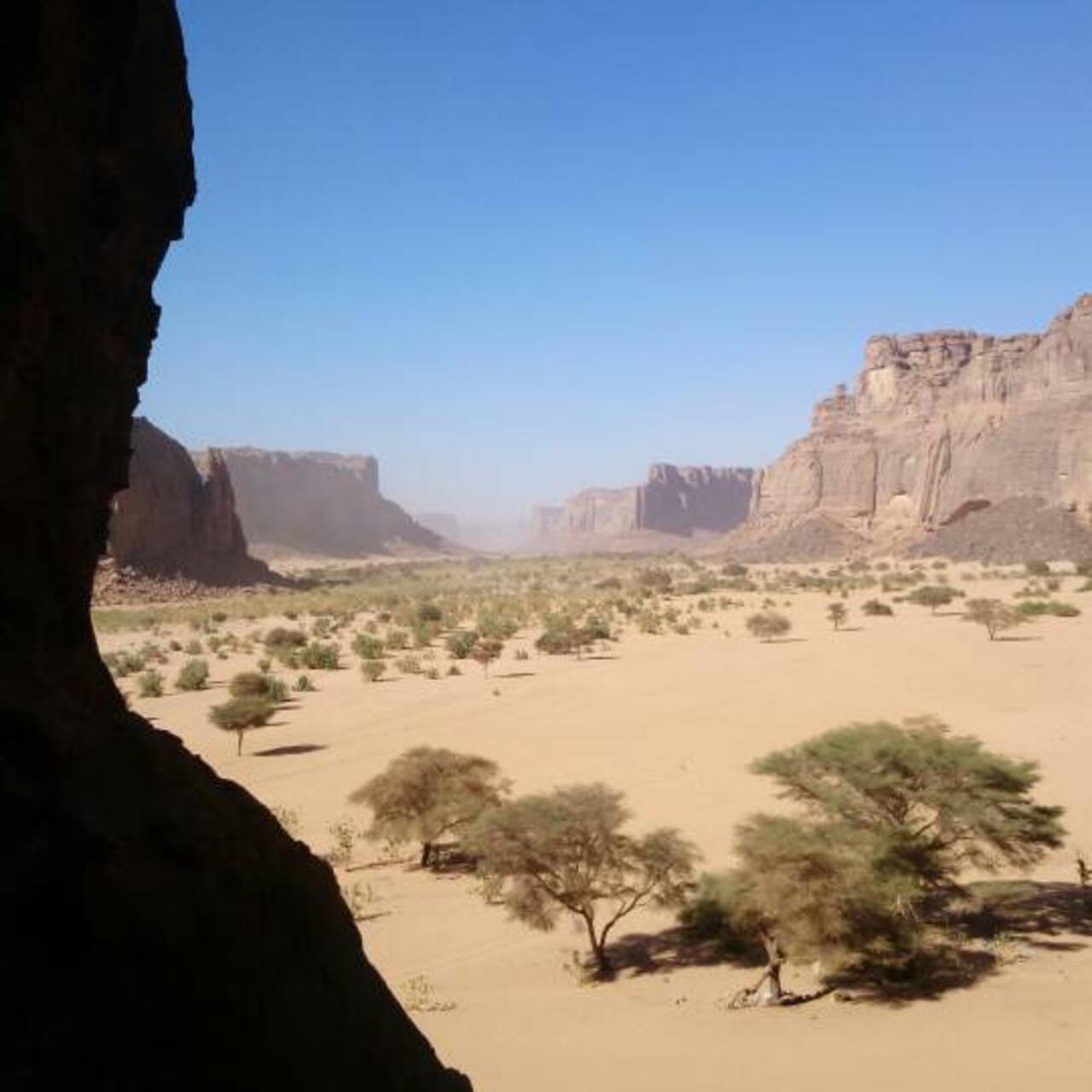 Changement climatique au Tchad : les « dunes mouvantes » qui menacent ...